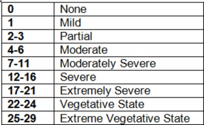 Internet Scientific Publications